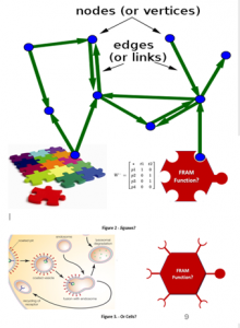 USING FRAM | FRAM - the Functional Resonance Analysis Method for ...